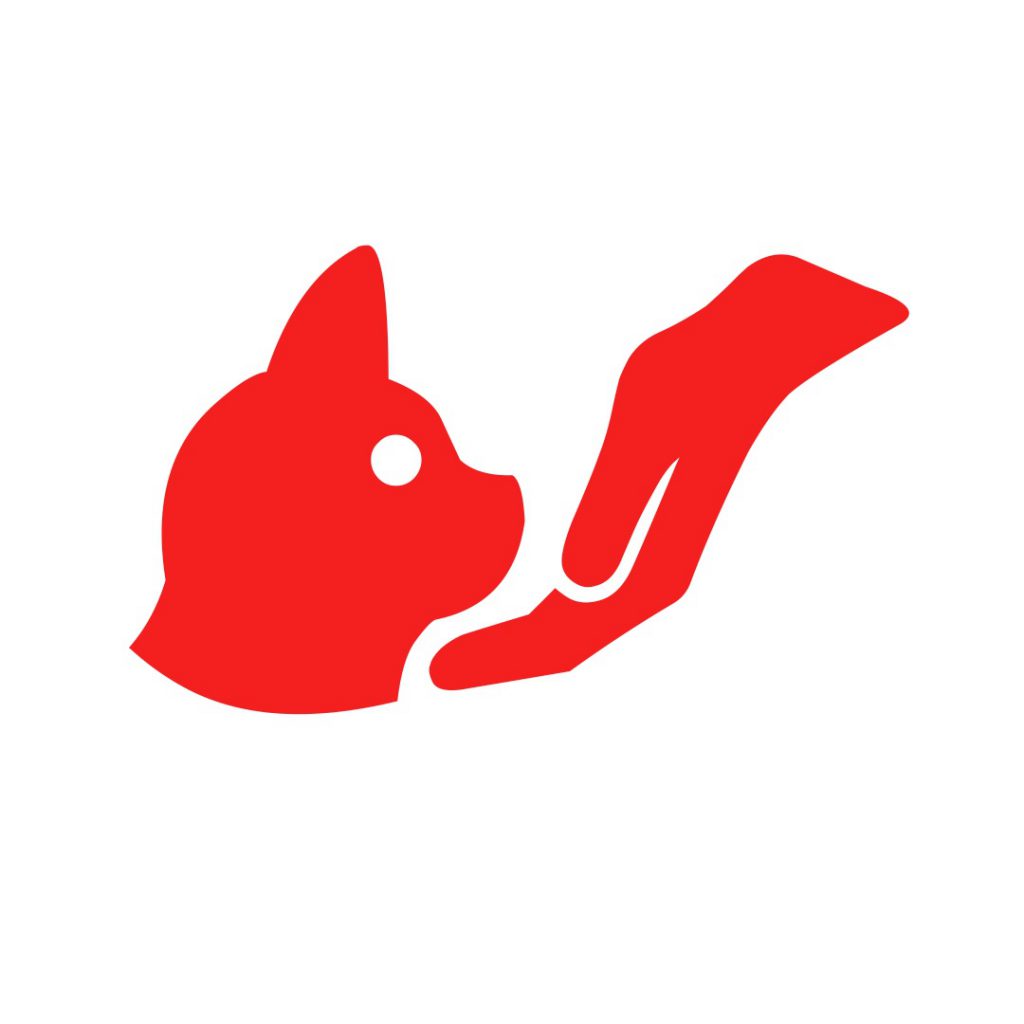 Our Spectrum of Services